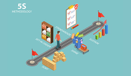 5S for Forklift Operators: A Guide to a More Productive Warehouse