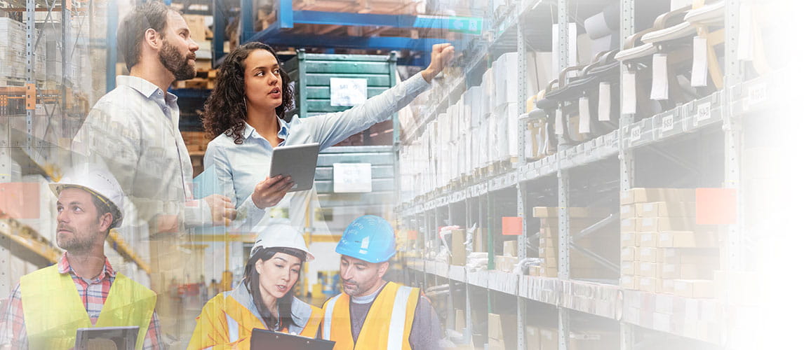 Integrated Systems Solutions | Raymond Handling Consultants